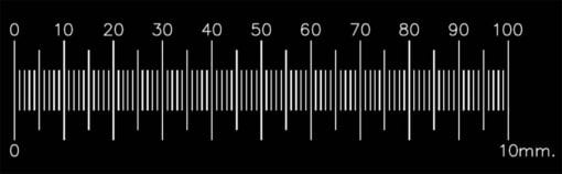 Stage Micrometer Microscope Calibration Scale