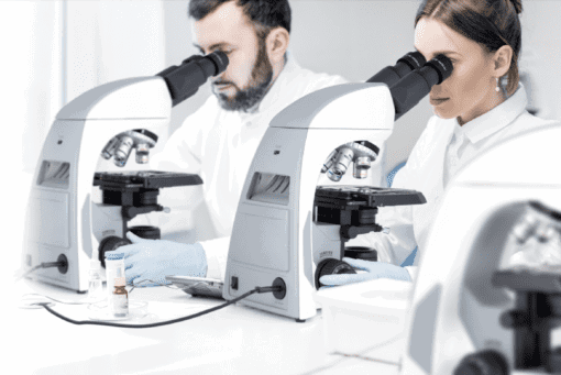 Motic Microscopes Panthera C2 Koehler Laboratory Microscope
