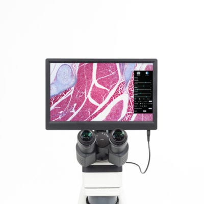 Laboratory Education & Fluorescence Microscope - Motic BA210 LED