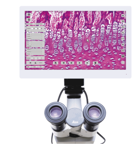 MMS Microscopes Motic Microscopes UK & Europe Direct